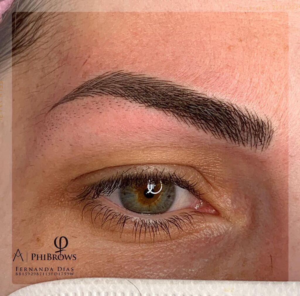 ¿Cómo se ve el microblading a los 3 días?